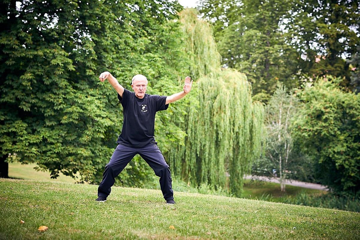 5 Elemente QI GONG- chin. med. Heilgymnastik- Basis-u. Aufbaukurs I ...