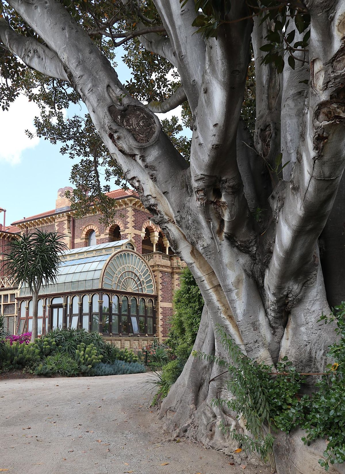 Australian Heritage Festival - Significant Trees of Rippon Lea at ...