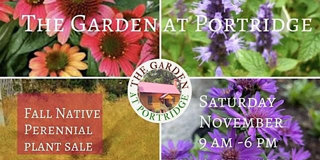 Fall Perennial Plant Sale- create your own durable native plant garden ...