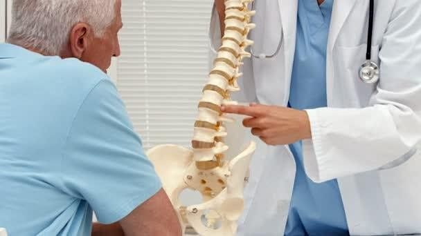 FREE Spine and Posture Checks - for Back Pain, Neck Pain & Headaches ...