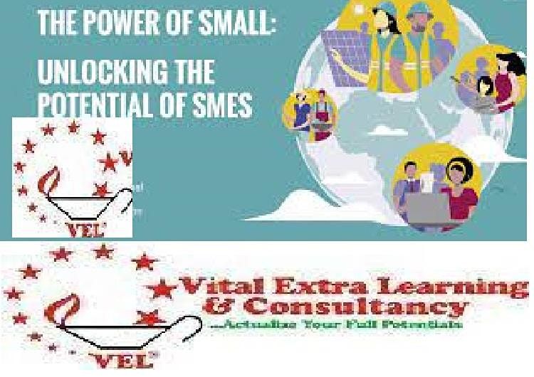 Skills Development for Entrepreneurs in SMEs and Start-up Ventures ...