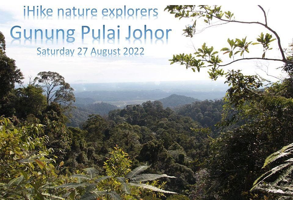Easy Hike to Gunung Pulai Johor at Marsiling MRT Station (NS8 ...
