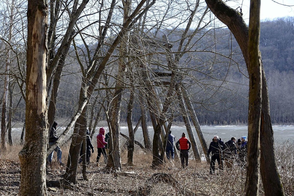 Bald Eagle Hacking Tower Hike at Northfork Waterfowl Resting Area ...
