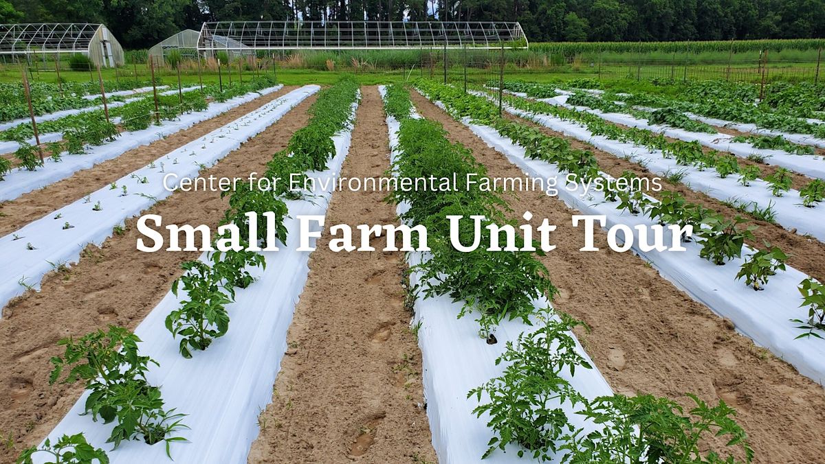 Integrative and Sustainable Practices at CEFS Small Farm Unit - Tour at ...