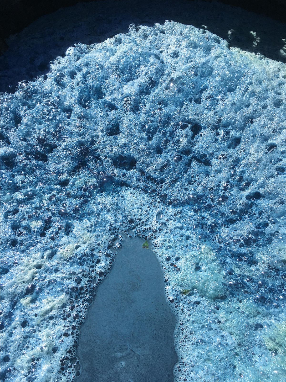 Indigo Vat Making and Dyeing with Emily Tzeng at Wild Dreams Farm ...