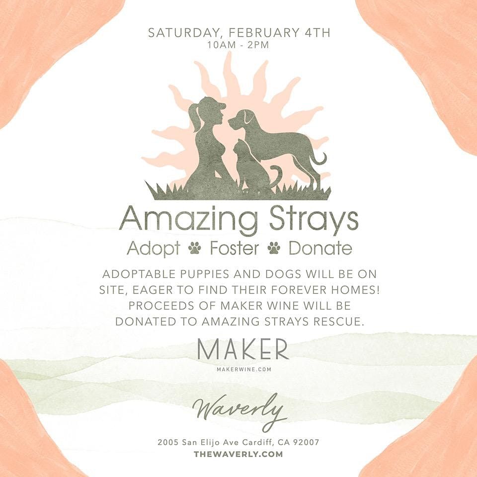 Dog Adoption and Brunch at The Waverly | Waverly, Encinitas, CA ...