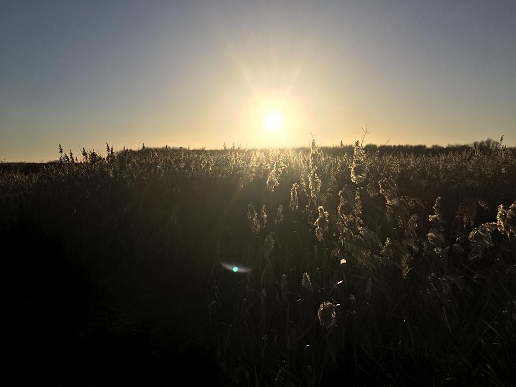 Spring Equinox Stone Age Walk at Lunt Meadows, Liverpool on 20th March ...