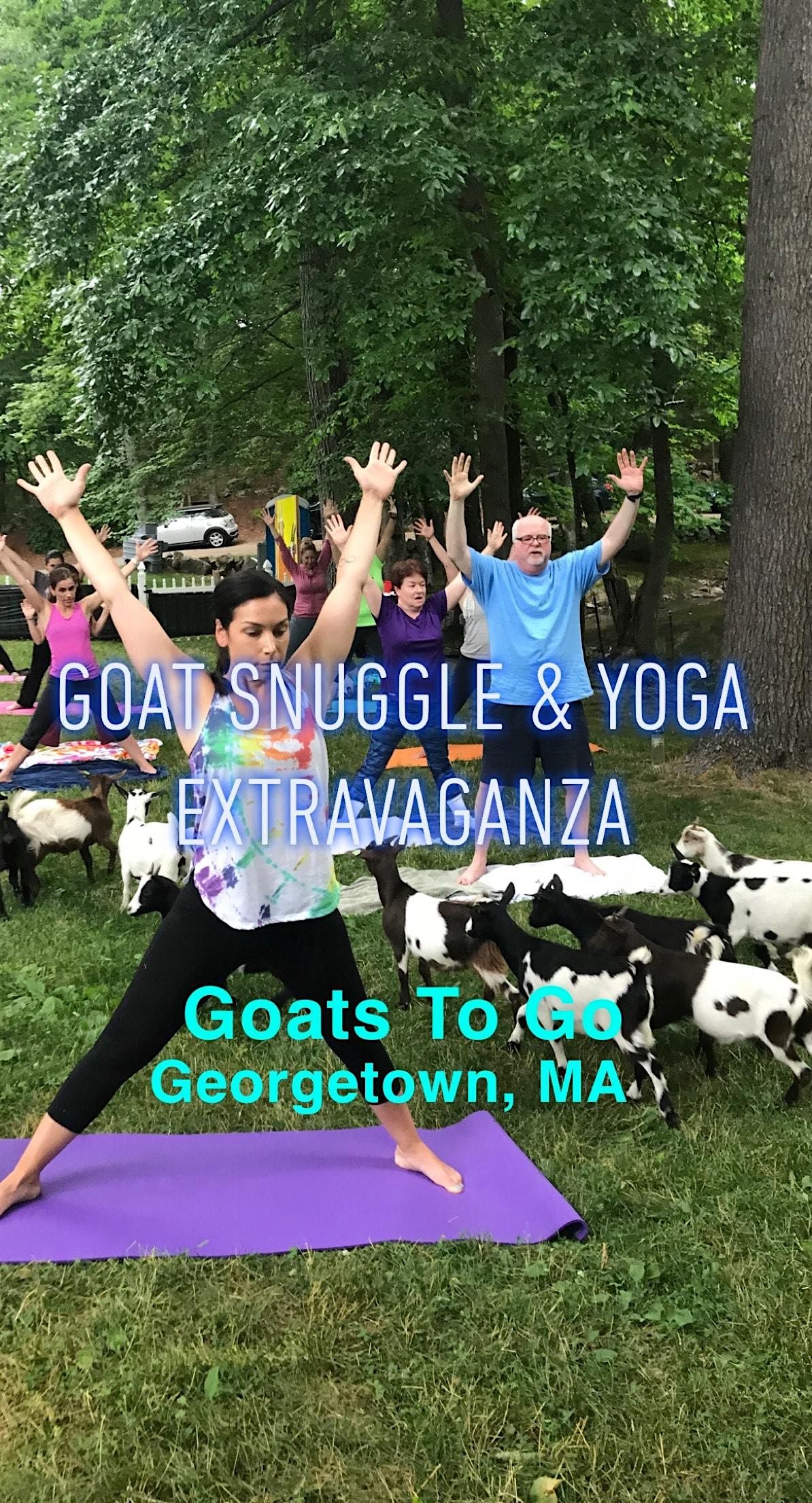 Goat Extravaganza: Yoga, Mingle, & Music | Goats to Go, Georgetown, MA ...