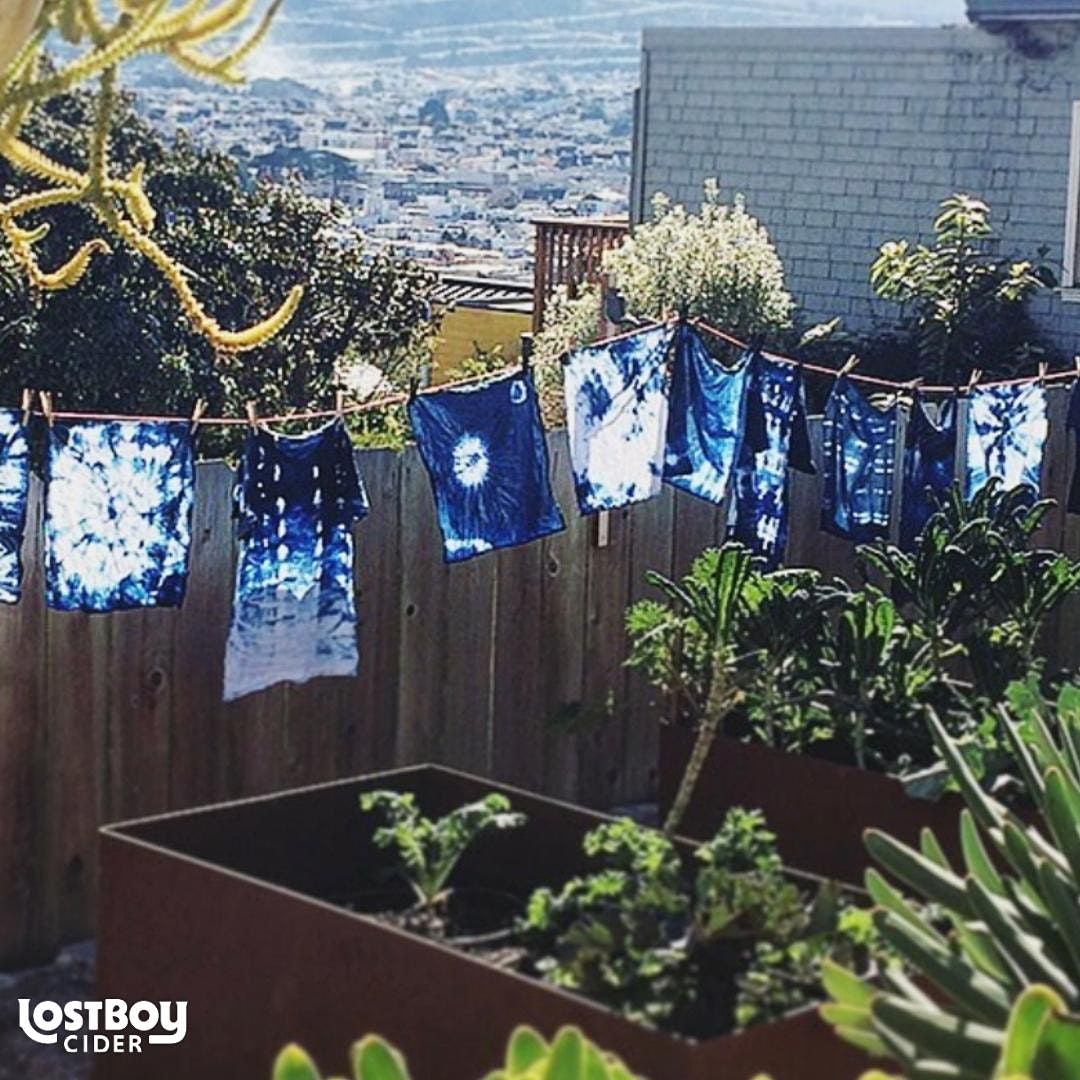 Indigo Dye Workshop at Lost Boy Cider! at Lost Boy Cider, Alexandria on ...