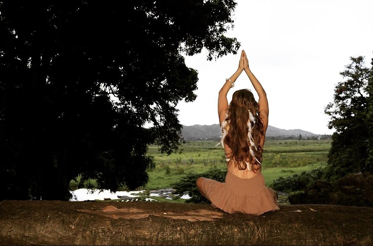 Forest Bathing and Guided Hike/Walk Tour at O‘ahu, Kailua on 8th May, 2023