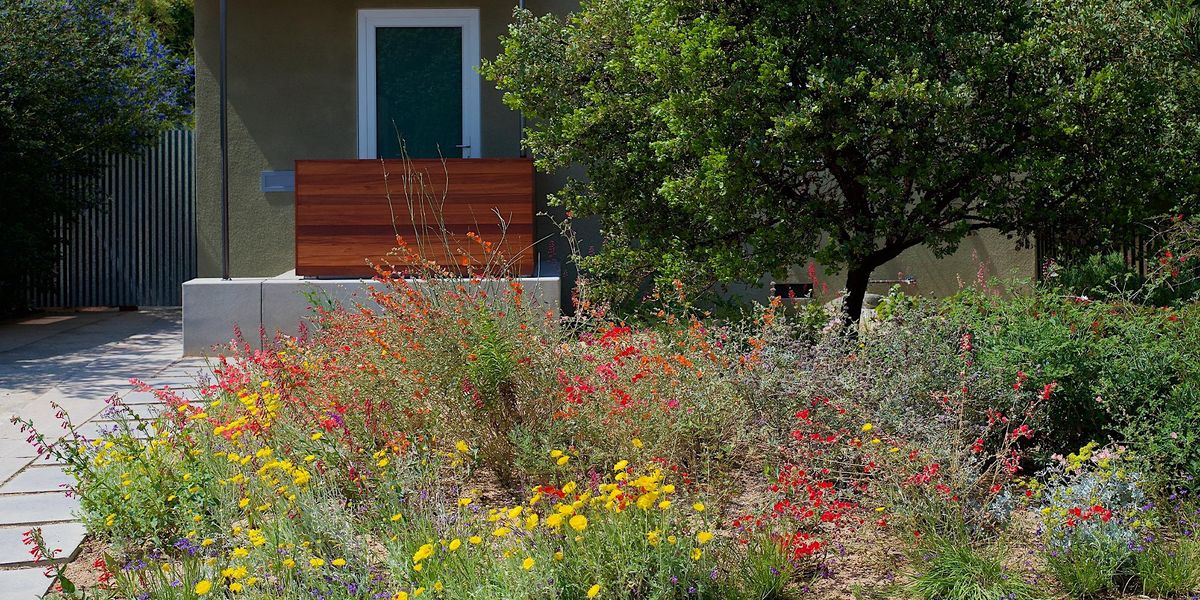 Intro to California Native Plant Garden Design with Tim Becker at ...
