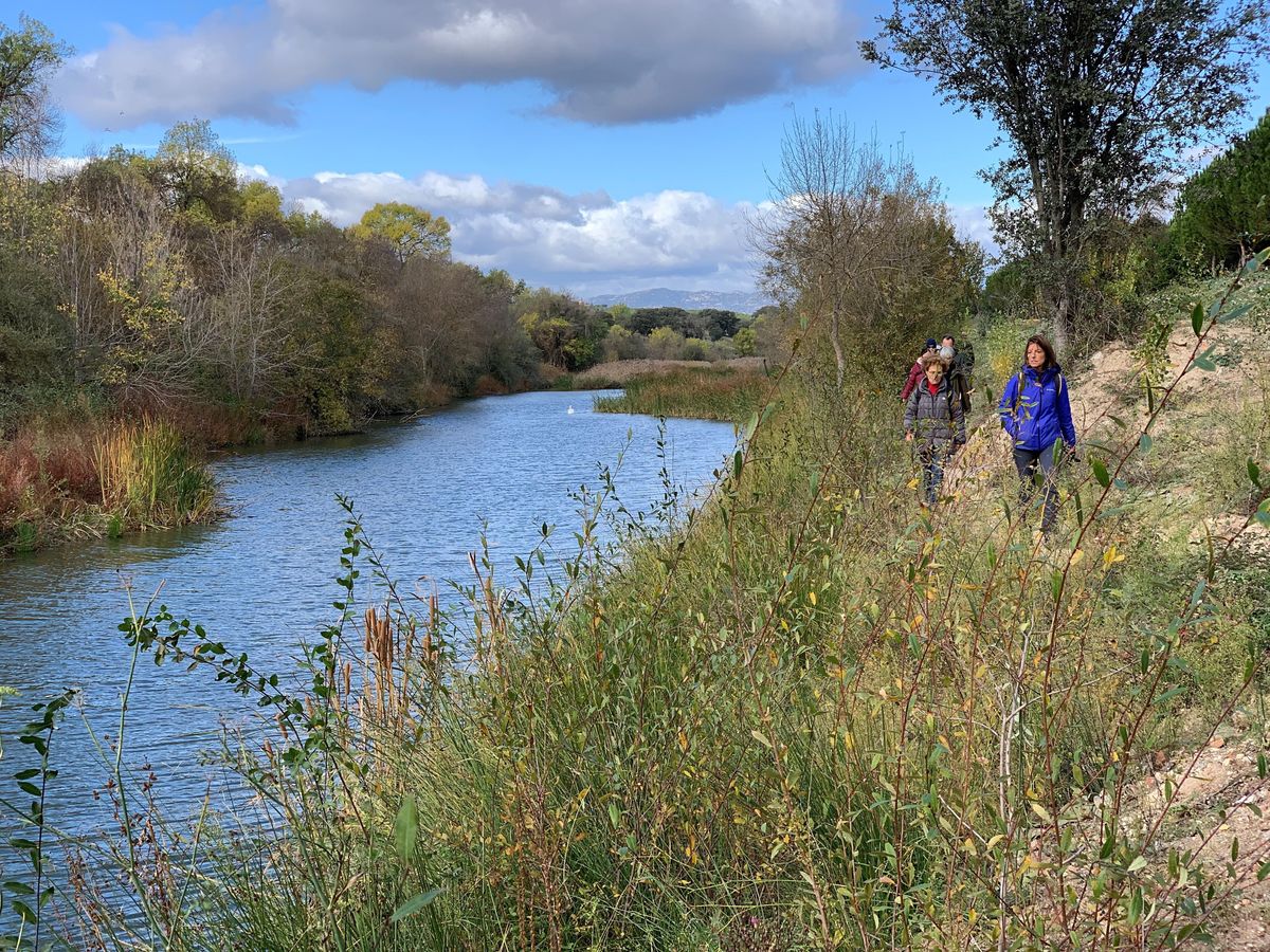 RUTA VERDE: Senda Fluvial del Manzanares (El Pardo) at Plaza de El ...
