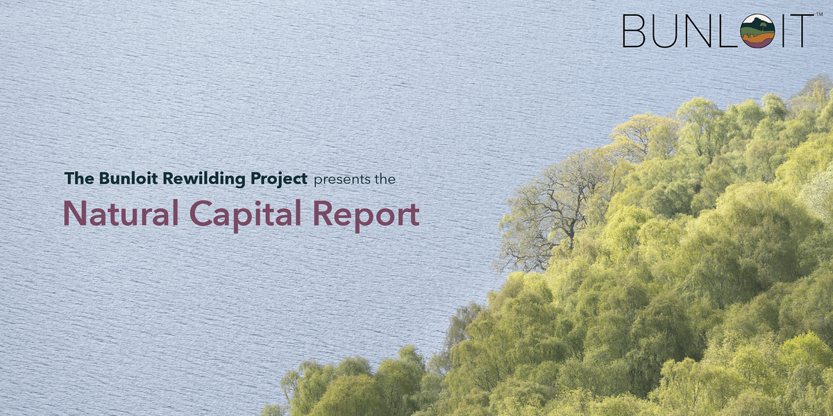 Bunloit Rewilding - Natural Capital Report Launch and Networking at ...