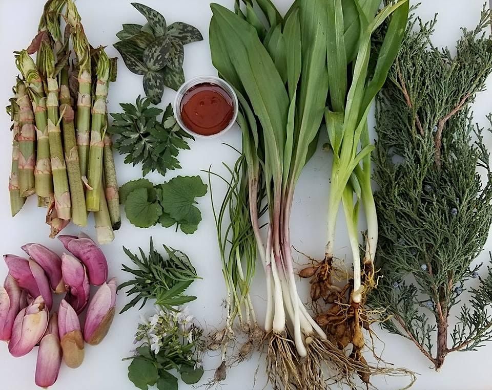 Eat the Neighborhood Ramp Walk and Dinner: Carnivore Oak Park at ...