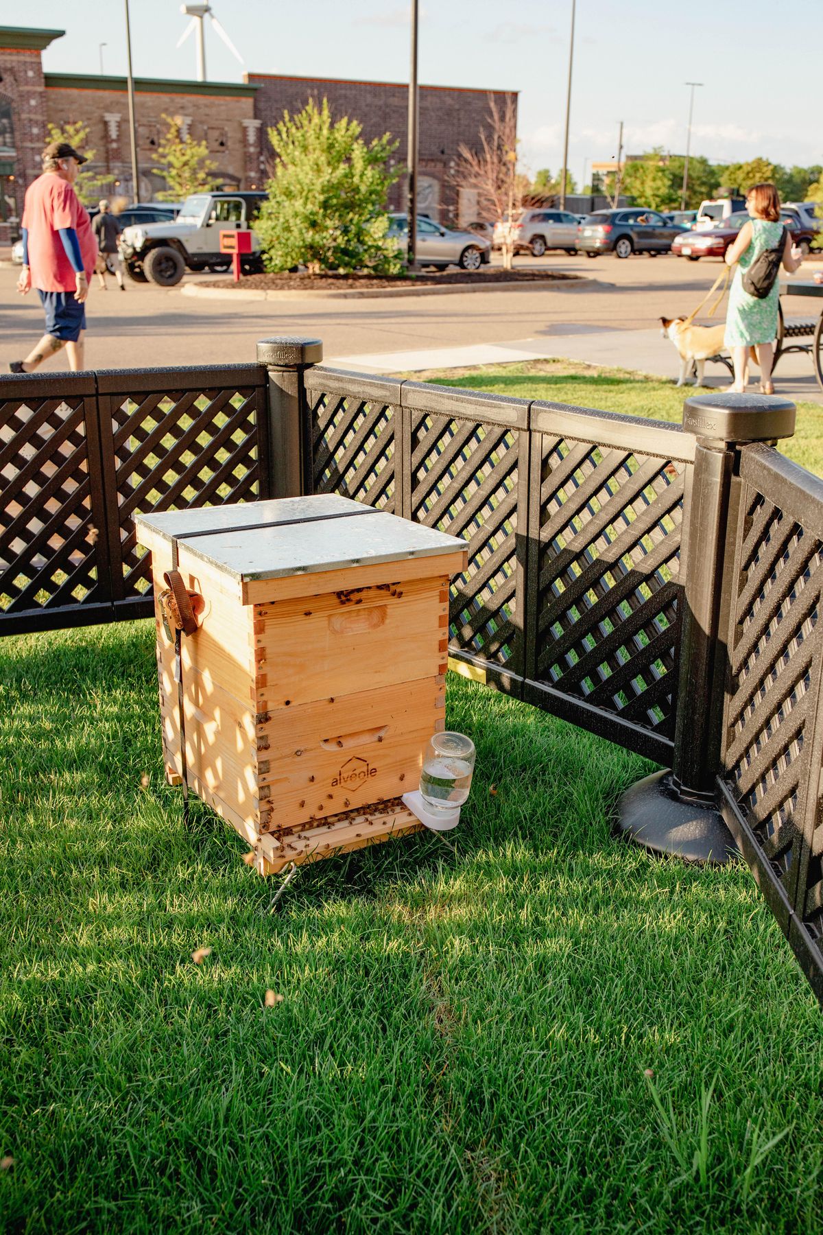 Hive to Honey Workshop with Alveole at The Shoppes at Arbor Lakes ...