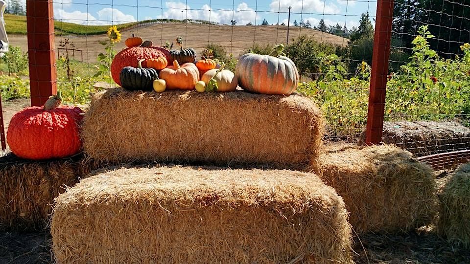 Weekend Along the Farm Trails Fall Tour 2023 at Sonoma County ...