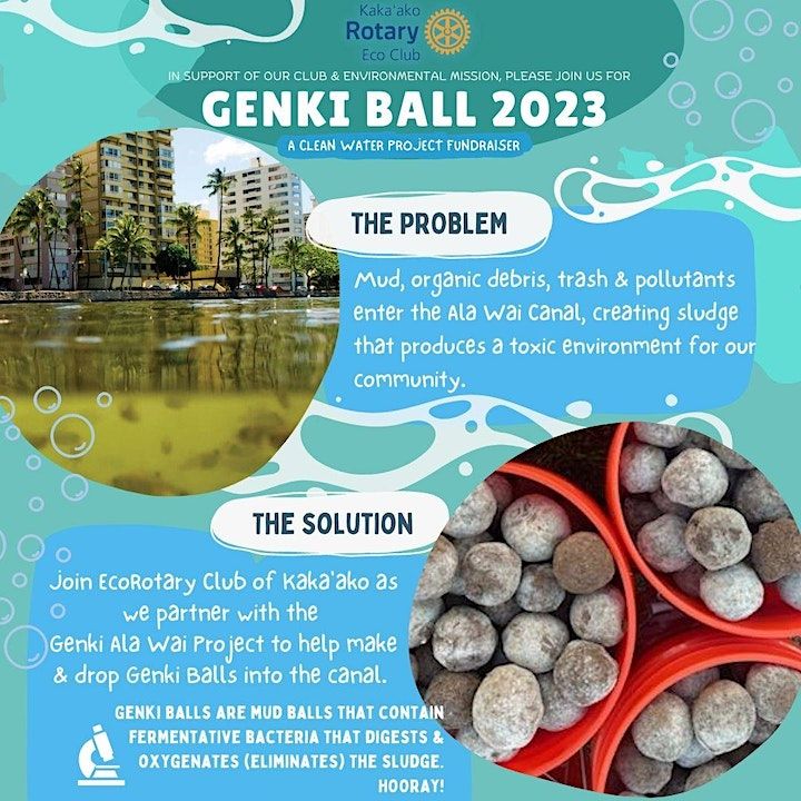 Eco Rotary Genki Ball 2023 at Waikiki-Kapahulu Public Library, Honolulu ...