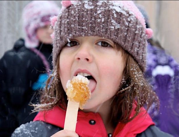 Maple Magic at Regal Point Elk Farm, Georgian Bluffs on 19th March, 2023