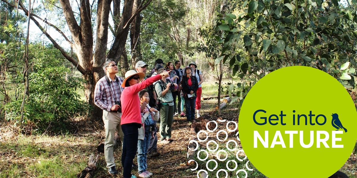 Get Into Nature - Frog Habitat Workshop at Lake Parramatta Reserve ...