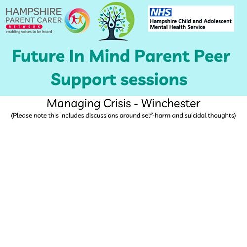 Meet the CAMHS Professional - Managing Crisis | NHS Avalon House ...