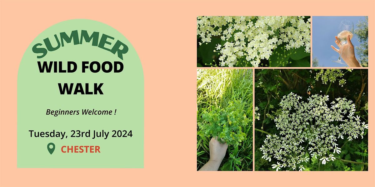 Summer Wild Food Walk at Northgate Ponds, Chester on 23rd July, 2024