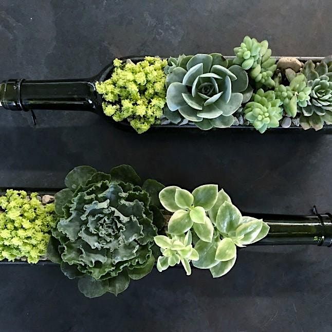 Succulents & Wine at Wine Room - Record Family Wines, San Diego on 21st January, 2023