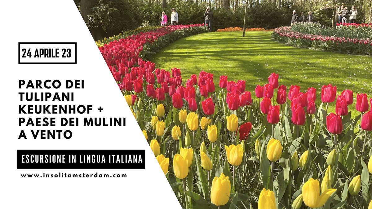 Visita parco dei tulipani e mulini a vento in ITALIANO - 24 aprile 2023 ...