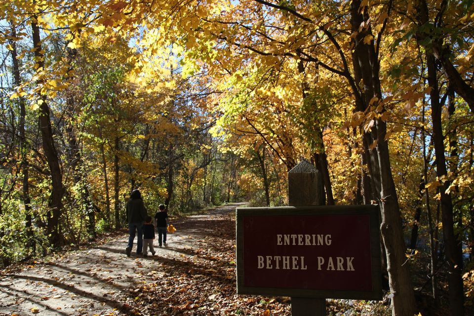 Arbor Day Tree Planting at N St, Bethel Park, PA 15102, United States ...