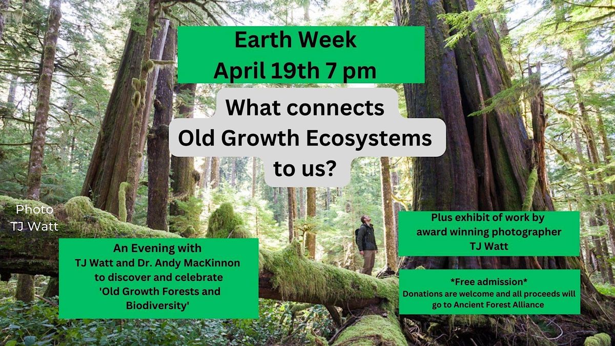 Earth week - Why do old tree ecosystems matter? What connects us to ...