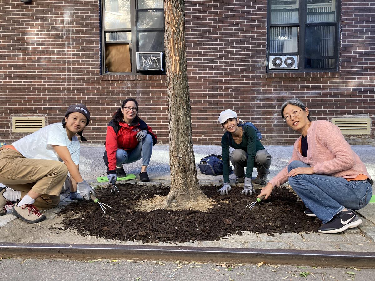 Be a Friend to Trees - Arbor Day : A Master Composter Volunteer ...