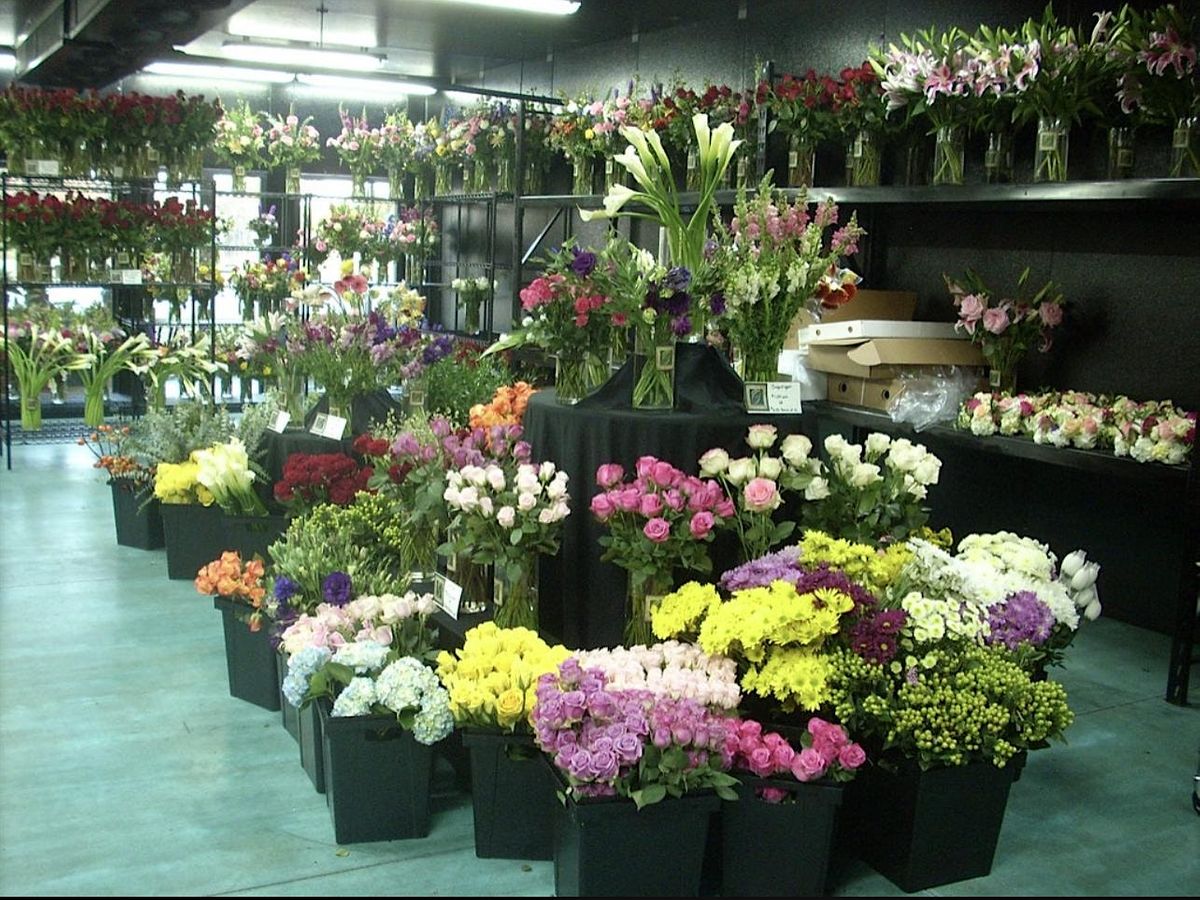 Oberers Flowers Grand Opening at 5757 N Hamilton Rd, Columbus on 17th ...