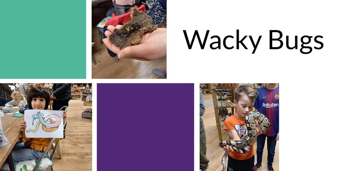 Wacky Bugs! Ages 4-11. | Downtown Garden Centre, Grantham, EN | August ...