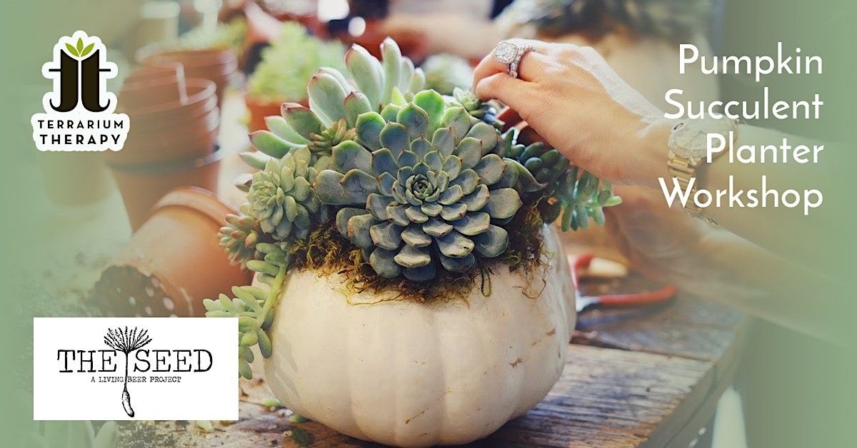In-Person Pumpkin Succulent Workshop at The Seed: A Living Beer Project ...