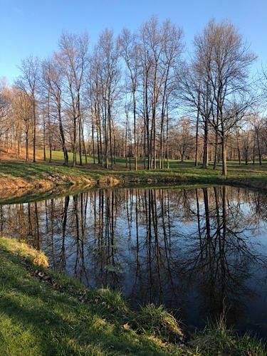 Foundation for Geauga Parks - October Explorer Series Hike at Veterans ...