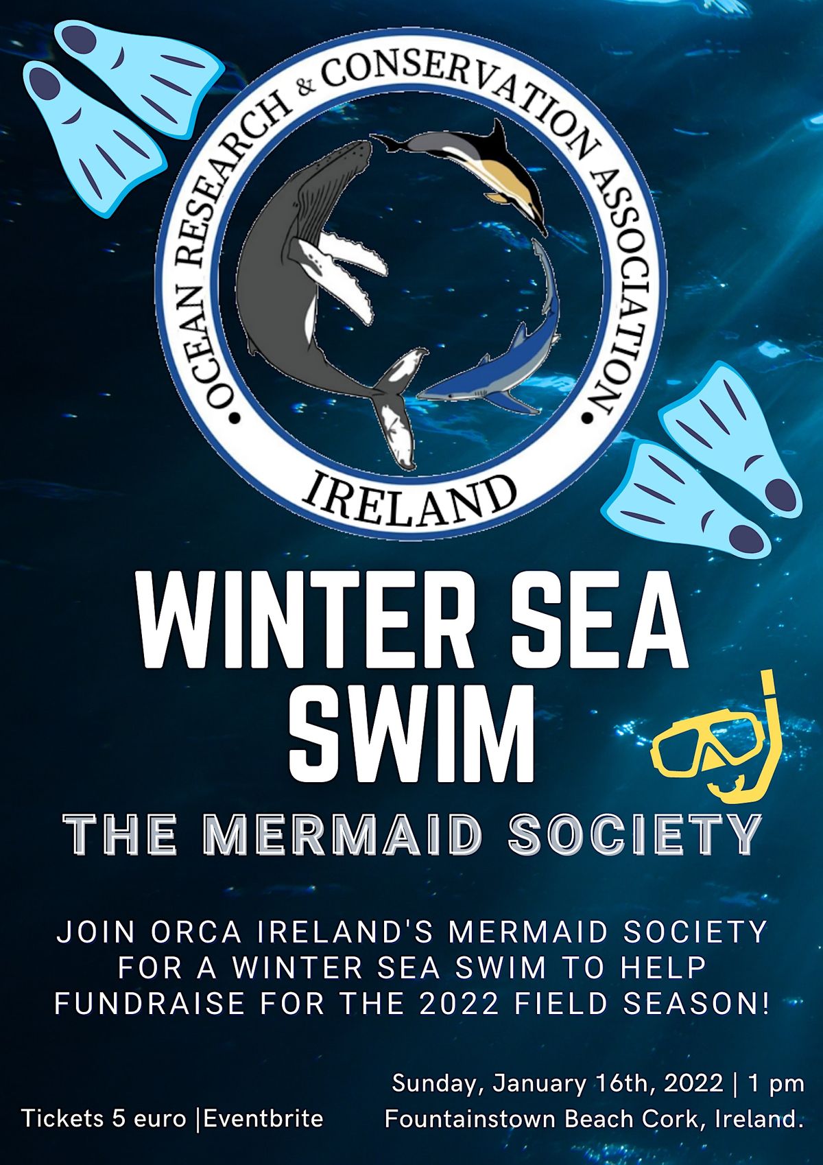 Winter Sea Swim - The Mermaid Society at Fountainstown Beach, Co. Cork ...