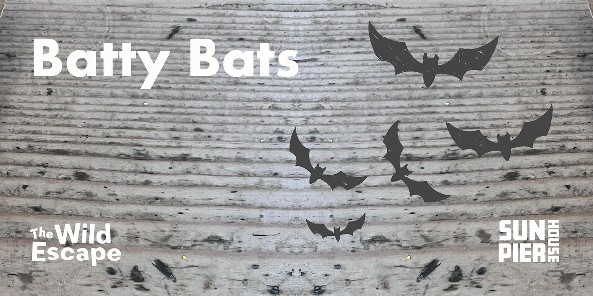 Free Batty Bats Workshop - The Wild Escape at Sun Pier House | Sun Pier ...
