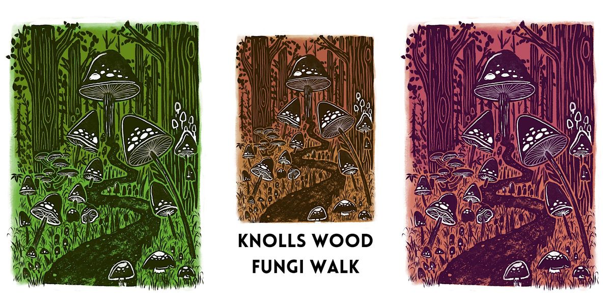 Guided fungi walk - Knolls Wood at Sandy Lane Notice Board, Leighton ...