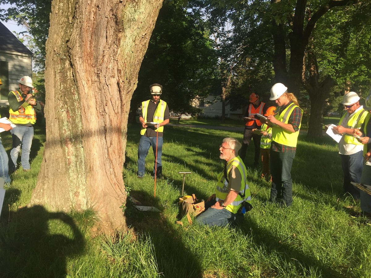 ISA Tree Risk Assessment Qualification Renewal Course: 5/26/23 (One day ...