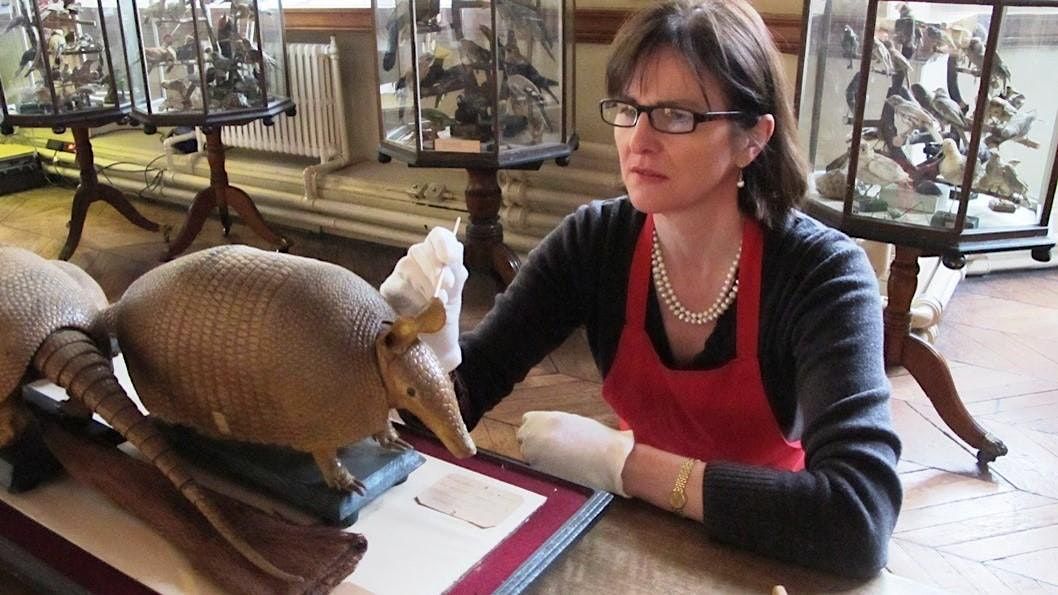 Sanctified Royalty: Jacobite Relics and the Divine Right of Kings ...