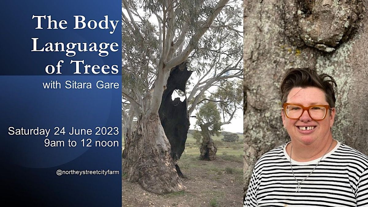 The Body Language of Trees with Sitara Gare | Northey Street City Farm ...