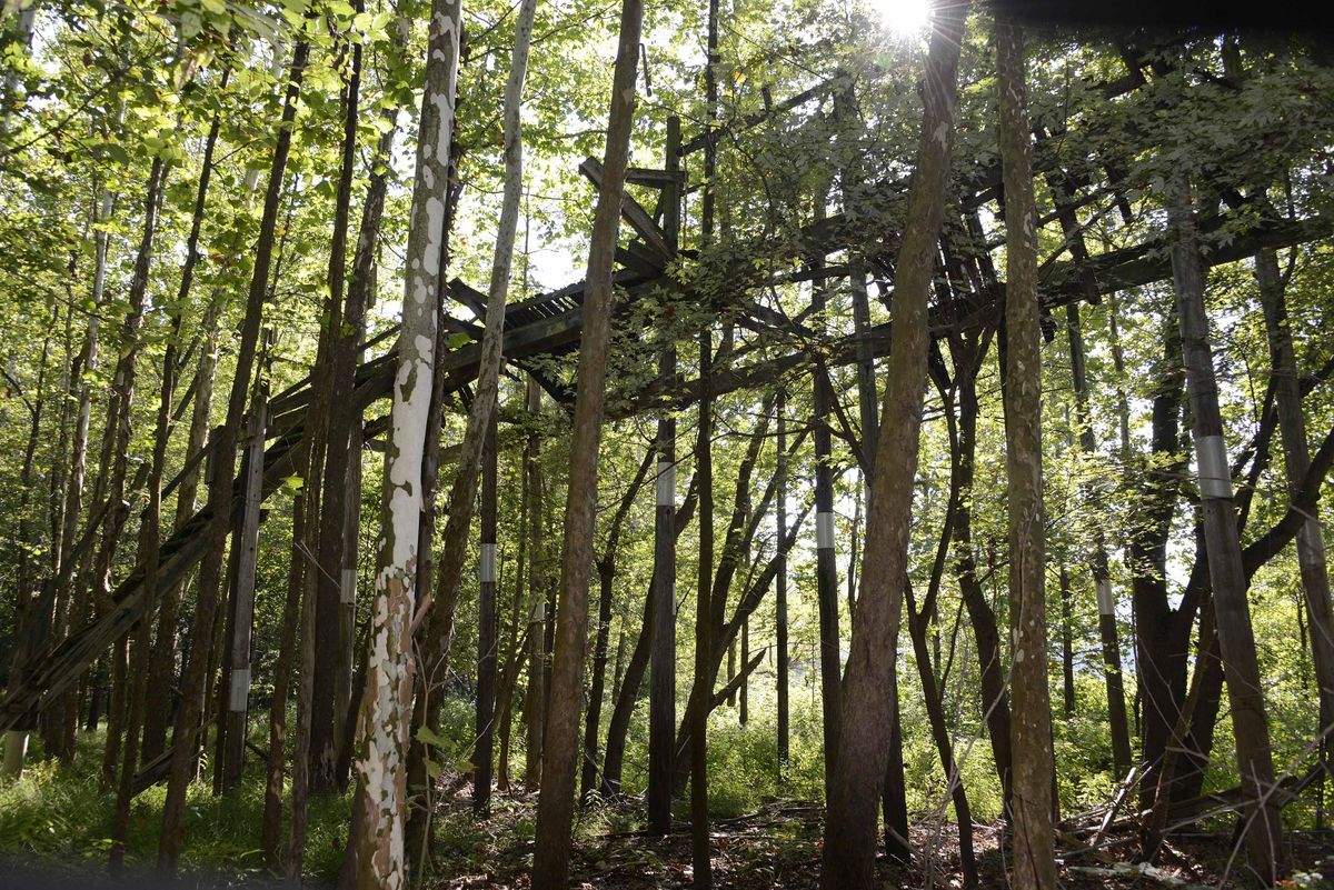 Bald Eagle Hacking Tower Hike at North Fork State Wildlife Refuge ...