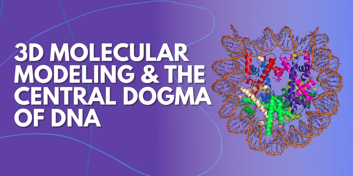 3d Molecular Modeling The Central Dogma Of Dna Genspace Brooklyn