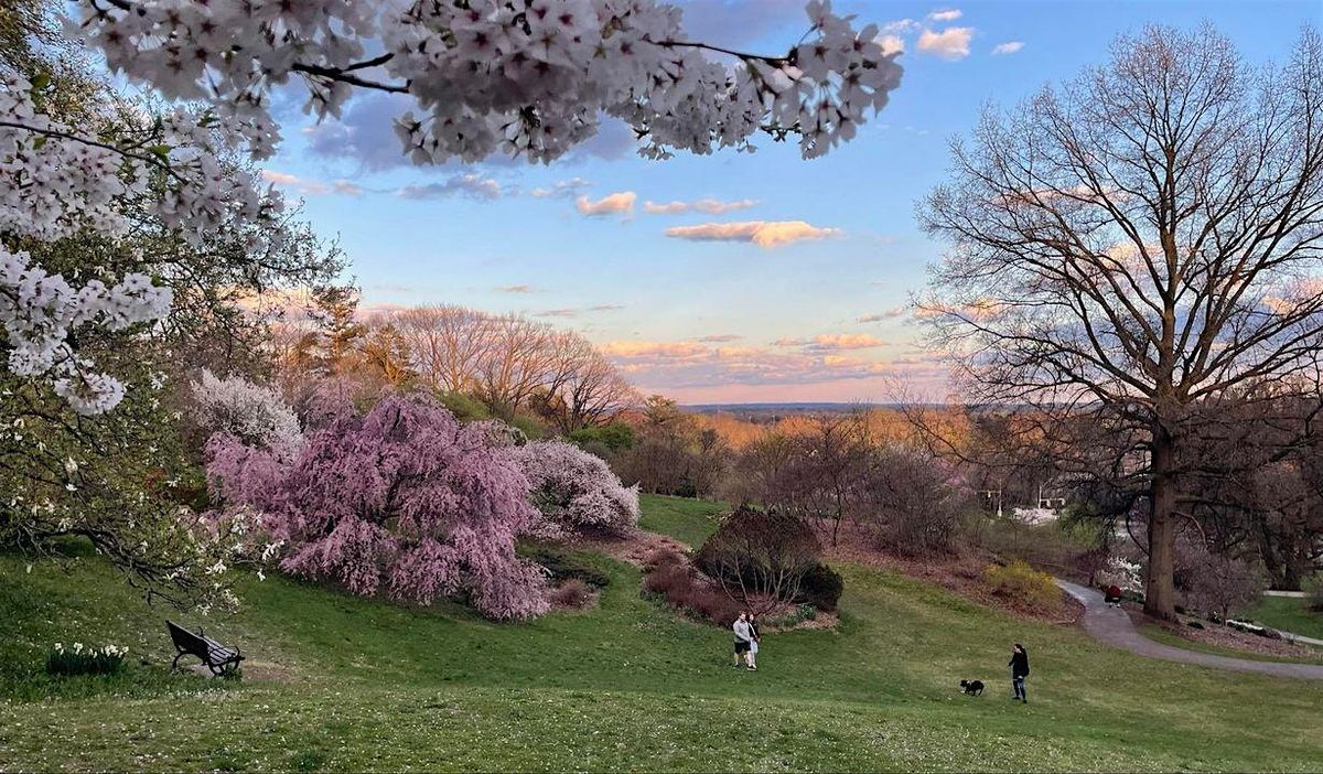 An Introduction to Highland Park, a Botanical Oasis in the City at 450 ...