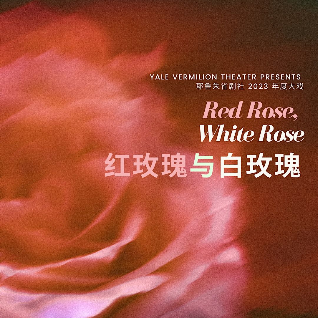 Yale Vermilion Theater Production - Red Rose White Rose at Sheffield ...