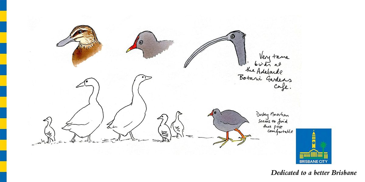 World Enviro Day -A nature journaling adventure : Waterbird cartoons at ...