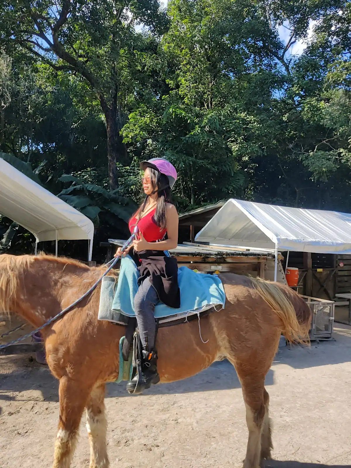 Go visit horse and farm animals with an Asian animal therapy at 551 NE ...