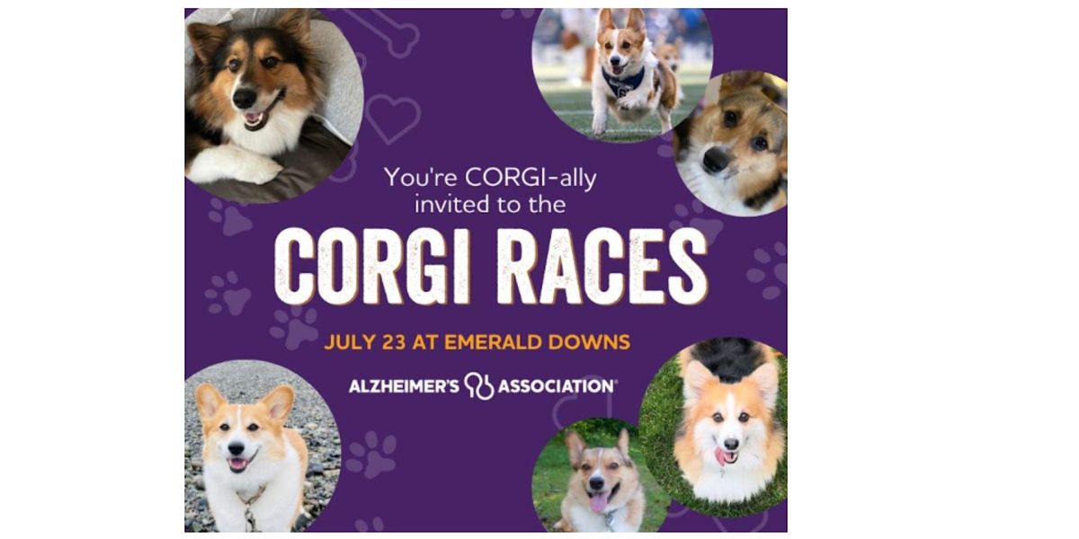 Corgi Race at Emerald Downs! Team Corgis Ending Alzheimers | Emerald ...