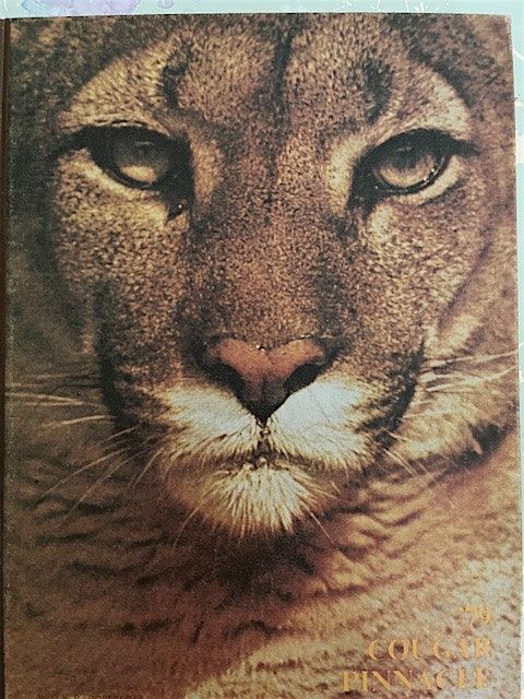 Pulaski County (VA) High School Class of 79 45th High School Reunion ...