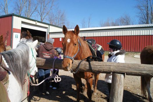 Fall Break Horse Mini-Camp Session 1 • Oct. 12–14 at Natural Valley ...