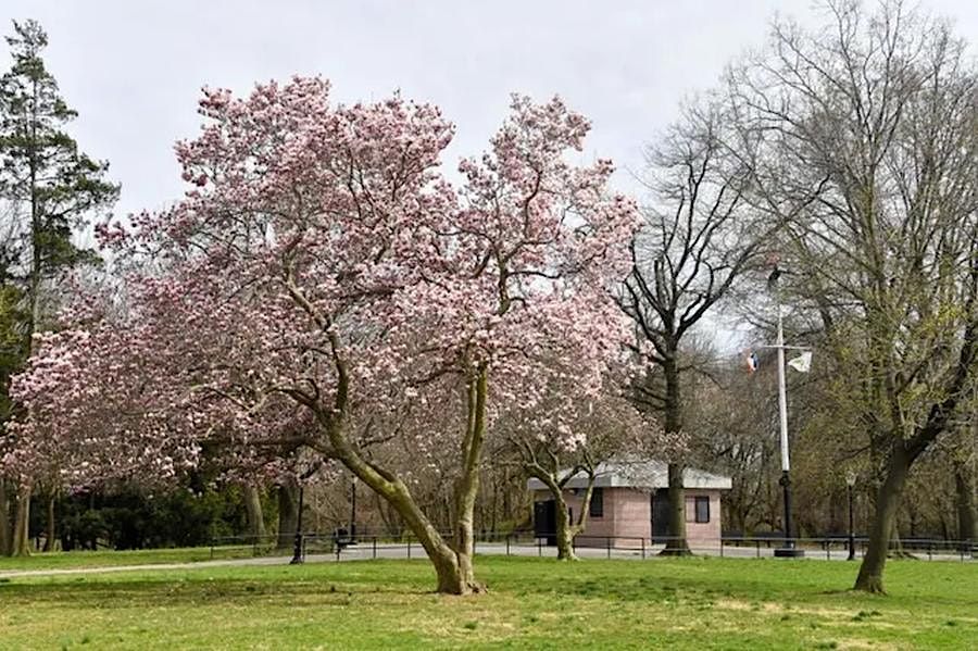 Crocheron, Fort Totten and Little Bay Parks free walk! | Sacred Heart ...
